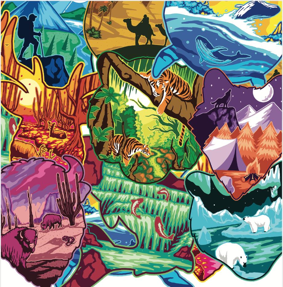 Outdoor Patches – PATCHLAB